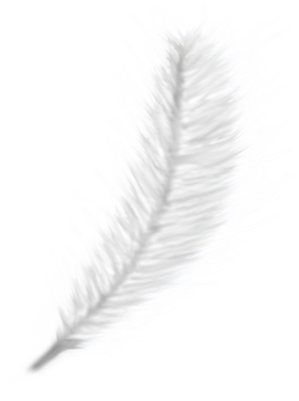Pluma Png - Sketch Clipart - Large Size Png Image - PikPng