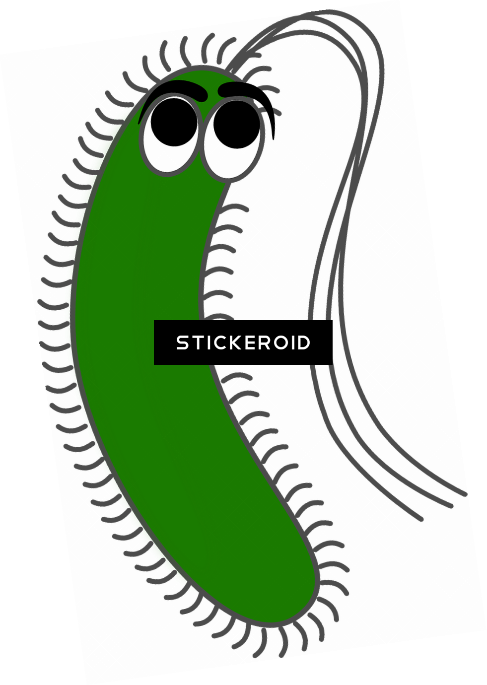 Bacteria Png Sad - Cilia And Flagella Cartoon Clipart - Large Size Png ...