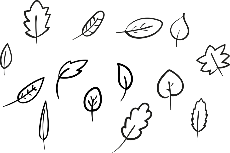 Leaf Leaves Autumn Forest Green Tree Nature Wood - List Obrázek Clipart ...