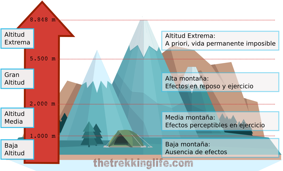 Altitud Y Efectos En El Organismo - Efectos De La Altitud Clipart ...
