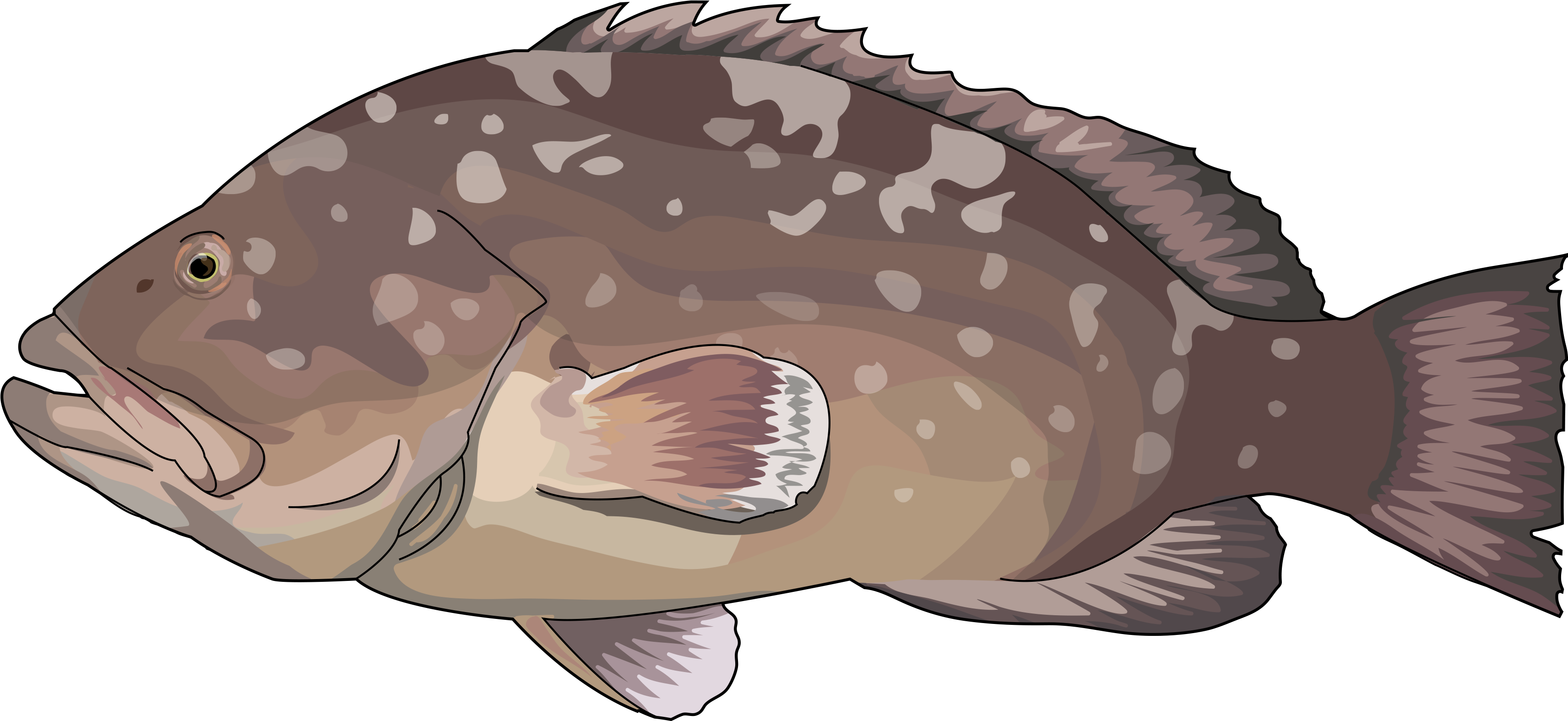 Mero - Mero Png Clipart - Large Size Png Image - PikPng