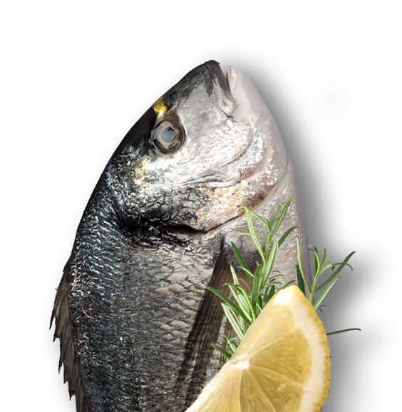 Oily Fish Clipart - Large Size Png Image - PikPng