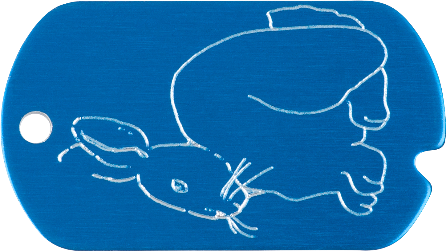 Quick View - Whale Clipart - Large Size Png Image - PikPng