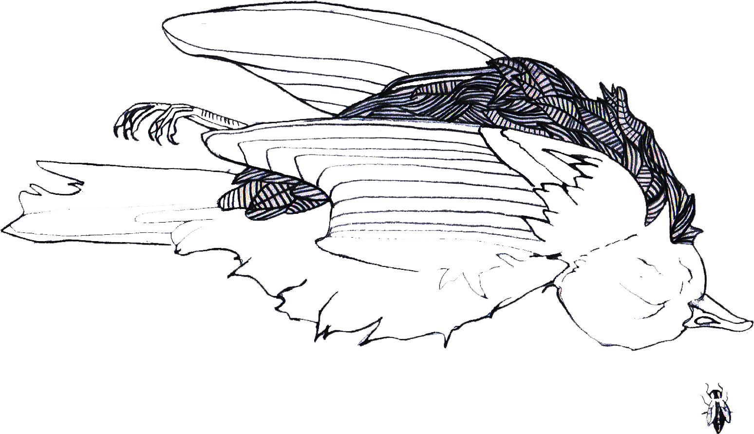 Download To Be Continued - Dead Bird Drawing Png Clipart Png Download ...