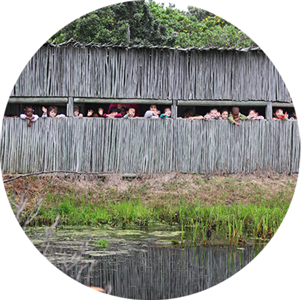 Photography - Bird Hides For Photography Clipart - Large Size Png Image ...