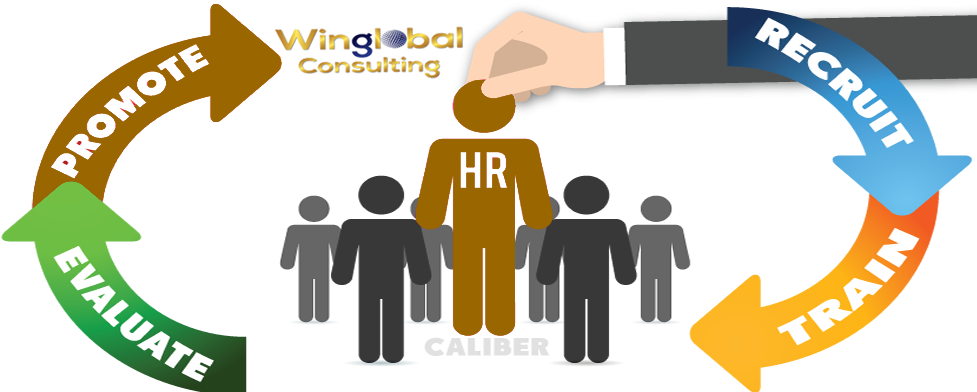 Recruitment Process Png Clipart - Large Size Png Image - PikPng