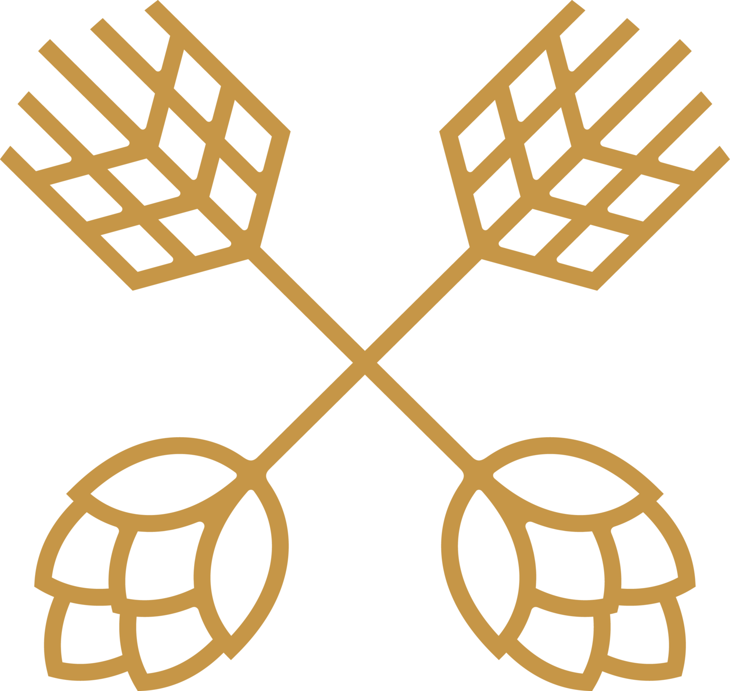 Craft Beer Png Clipart - Large Size Png Image - PikPng