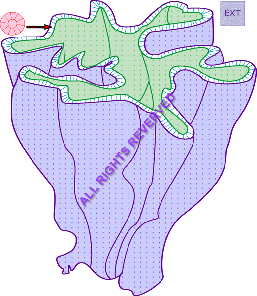 Images/folds Irregular Longi - Map Clipart - Large Size Png Image - PikPng