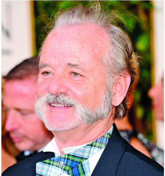 Bill Murray Beard Clipart - Large Size Png Image - PikPng