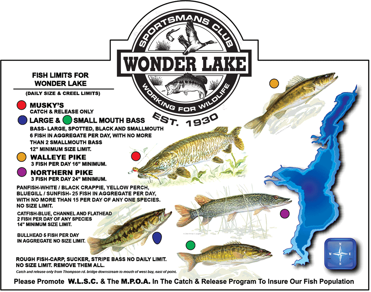 Fish-chart - Wonder Lake Fishing Clipart - Large Size Png Image - PikPng
