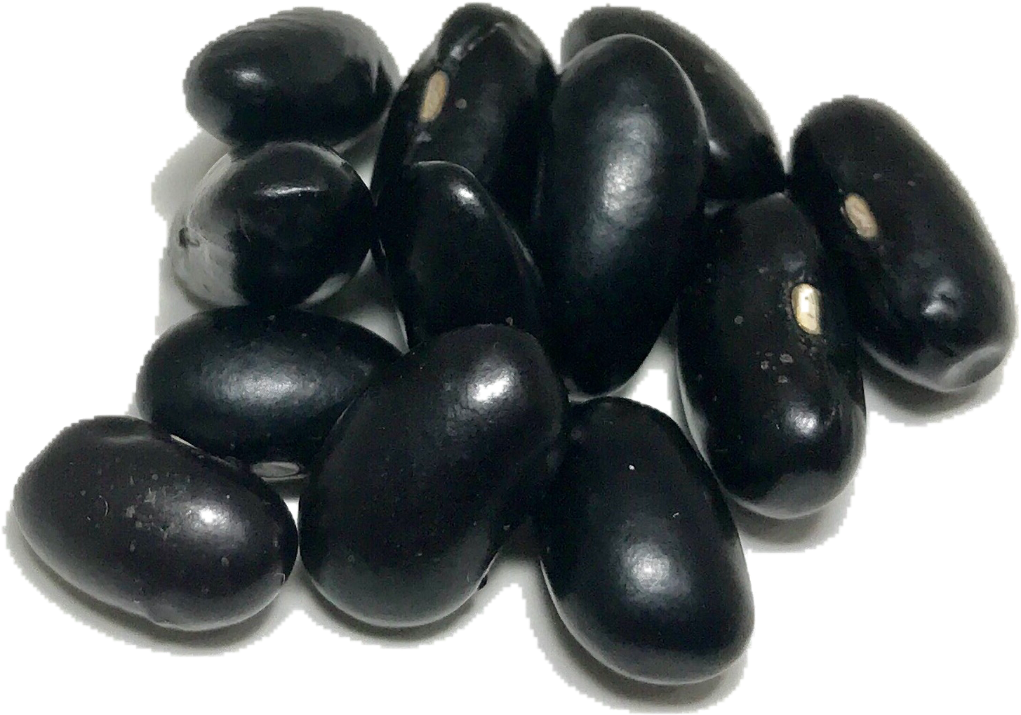Valentine Heirloom Dry Beans - Pebble Clipart - Large Size Png Image ...