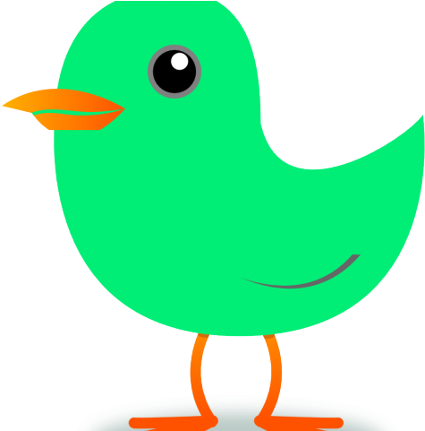 Spring Clipart Turtle - Png Download - Large Size Png Image - PikPng