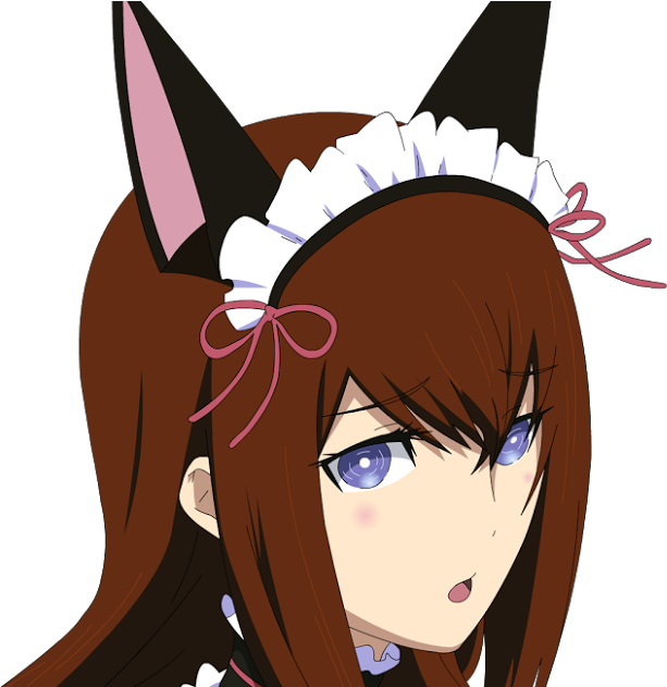 Kurisu Makise Steins Gate Girl Transparent Clipart - Large Size Png ...