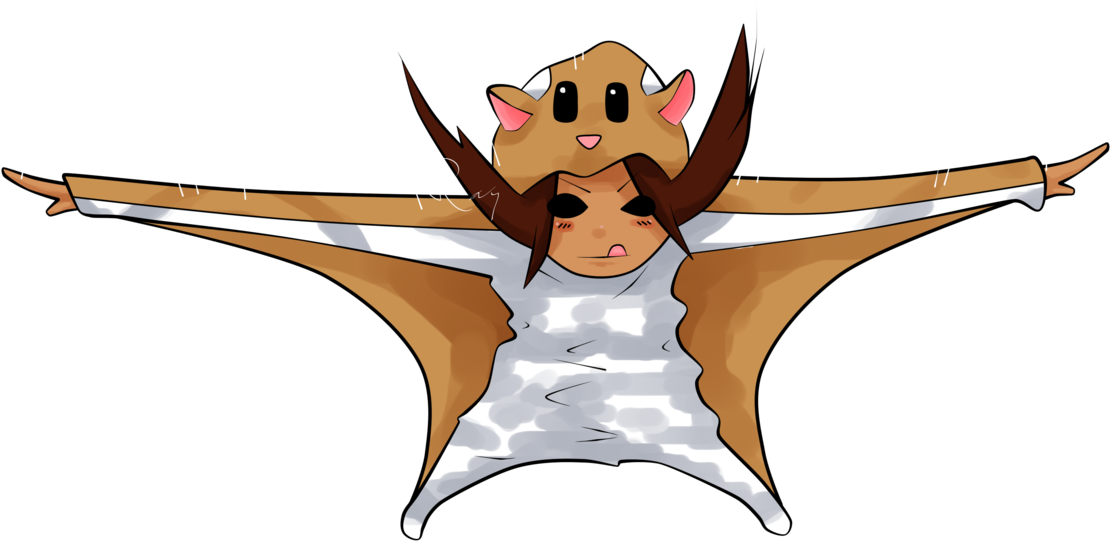 Cute Cartoon Flying Squirrel - Cartoon Clipart - Large Size Png Image ...