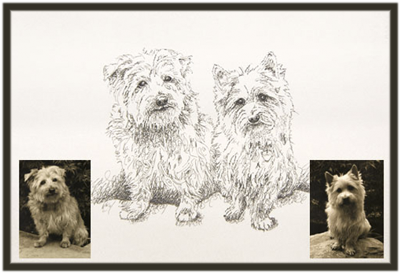 Original Drawing Two Dogs - Keeshond Clipart - Large Size Png Image ...
