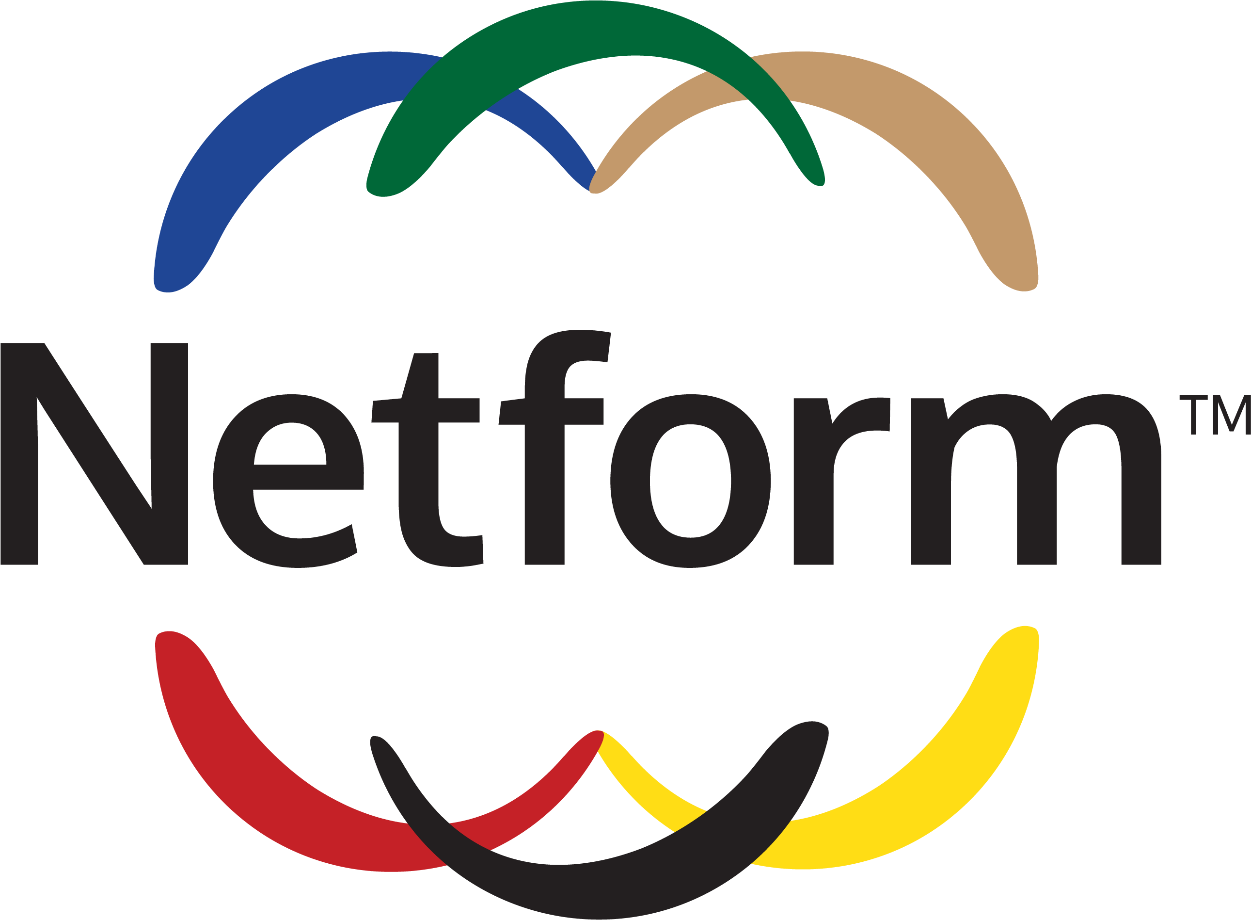 Netform Logo Clipart - Large Size Png Image - PikPng