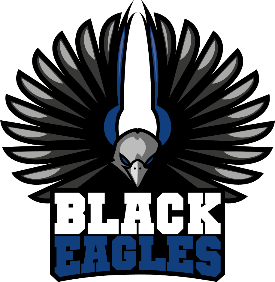 Logo Team Black Eagle Clipart - Large Size Png Image - PikPng
