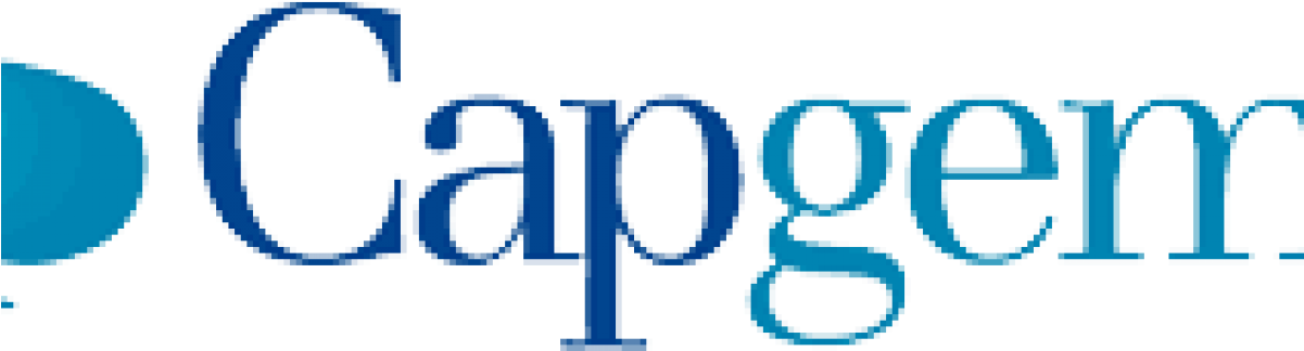 Download Capgemini Coding Challenge - Capgemini Clipart Png Download ...