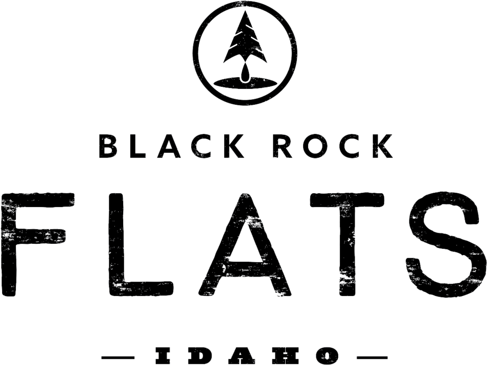 Blackrock Logo Png Clipart - Large Size Png Image - PikPng