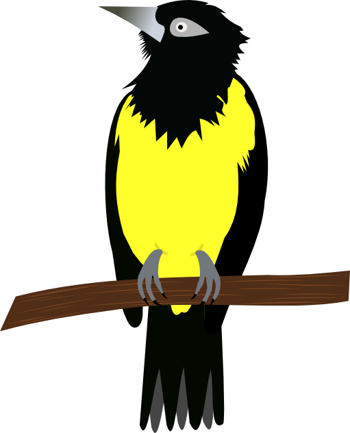 Turpial - Illustration Clipart - Large Size Png Image - PikPng