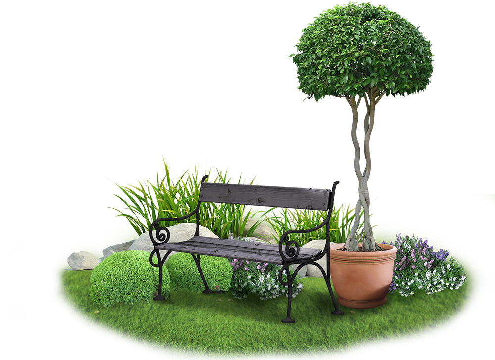Png Images Of Garden - Tree Clipart - Large Size Png Image - PikPng