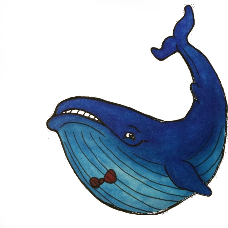 Derpy Whales Png Clipart - Large Size Png Image - PikPng