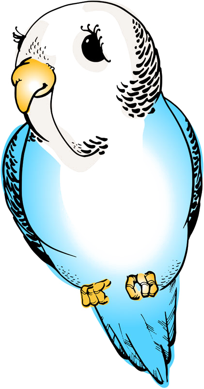 Delores Clipart - Large Size Png Image - PikPng