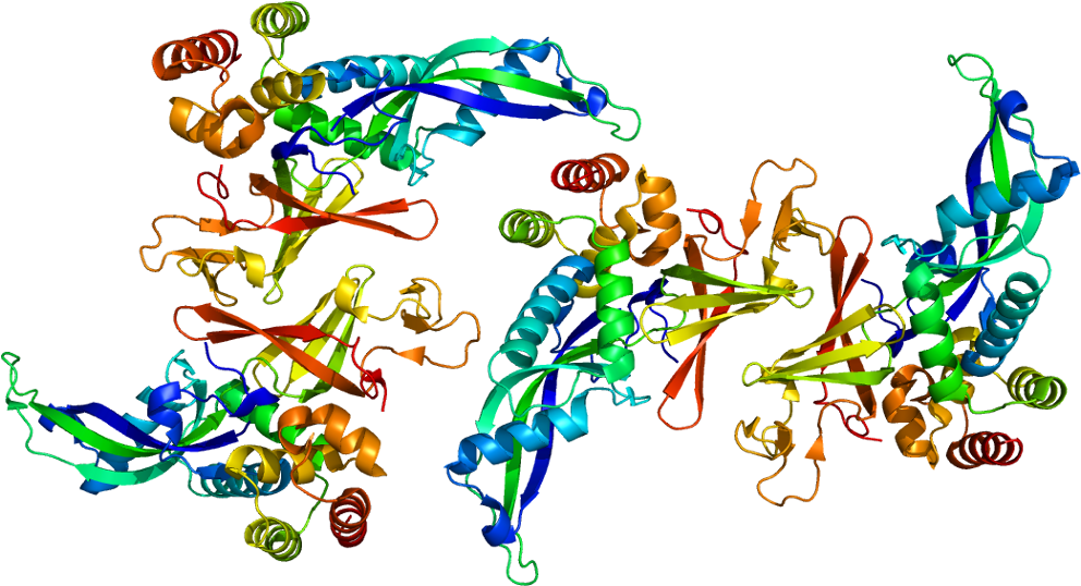 Rna Polymerase Transparent Clipart - Large Size Png Image - PikPng