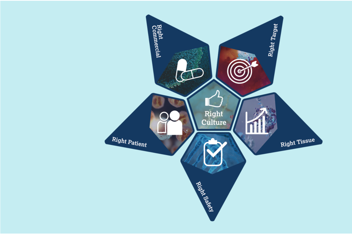 Transforming Astrazeneca's R&d Productivity , Png Download ...