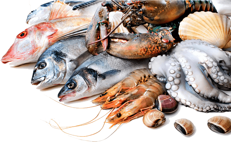 Download Fresh Fish , Png Download - Seafood Png Clipart Png Download ...
