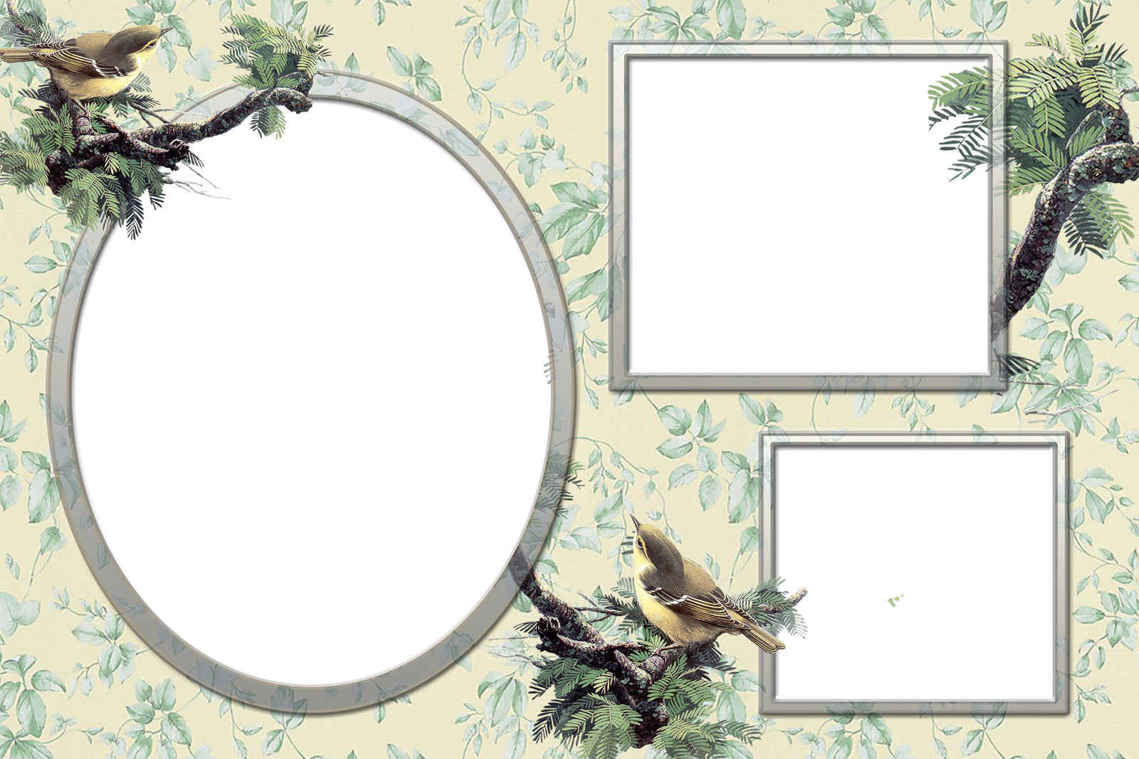 Three Photo Frame Png Clipart - Large Size Png Image - PikPng