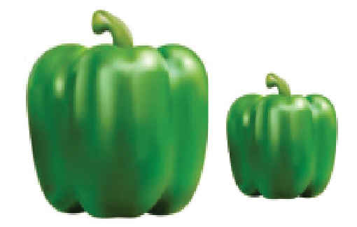 Green Capsicum 1 Kg - Shimla Mirch Clipart - Large Size Png Image - PikPng