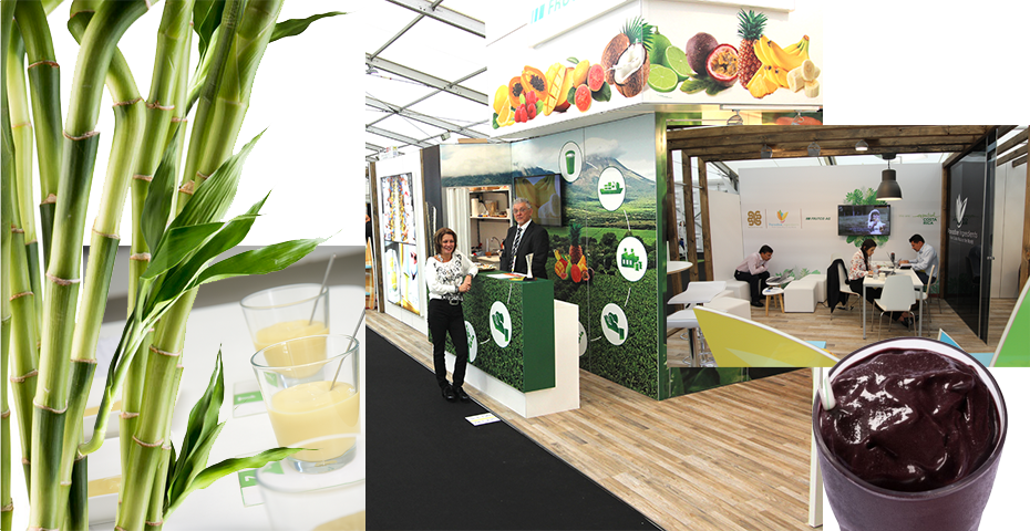 Exclusive Distributor For The European Market, Middle - Interior Design ...