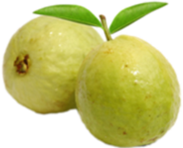 Guava Png Transparent Images - Guava Png Hd Clipart - Large Size Png ...