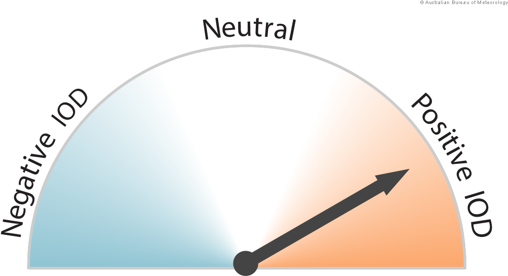 August Iod Dial Graphic Png - Circle Clipart - Large Size Png Image ...