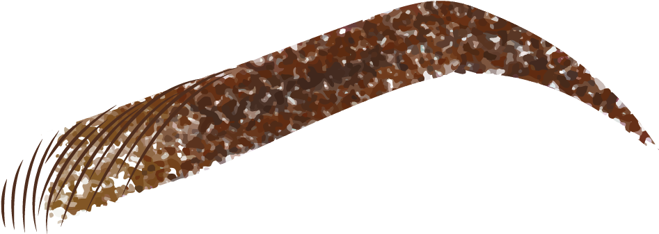 Eyebrow Png Transparent Background - Eyebrow Transparent Clipart ...