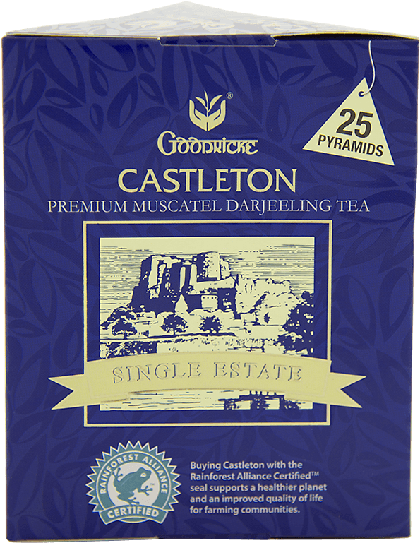 Castleton Pyramid Tea 6 Months Subscription - Basmati Clipart - Large ...