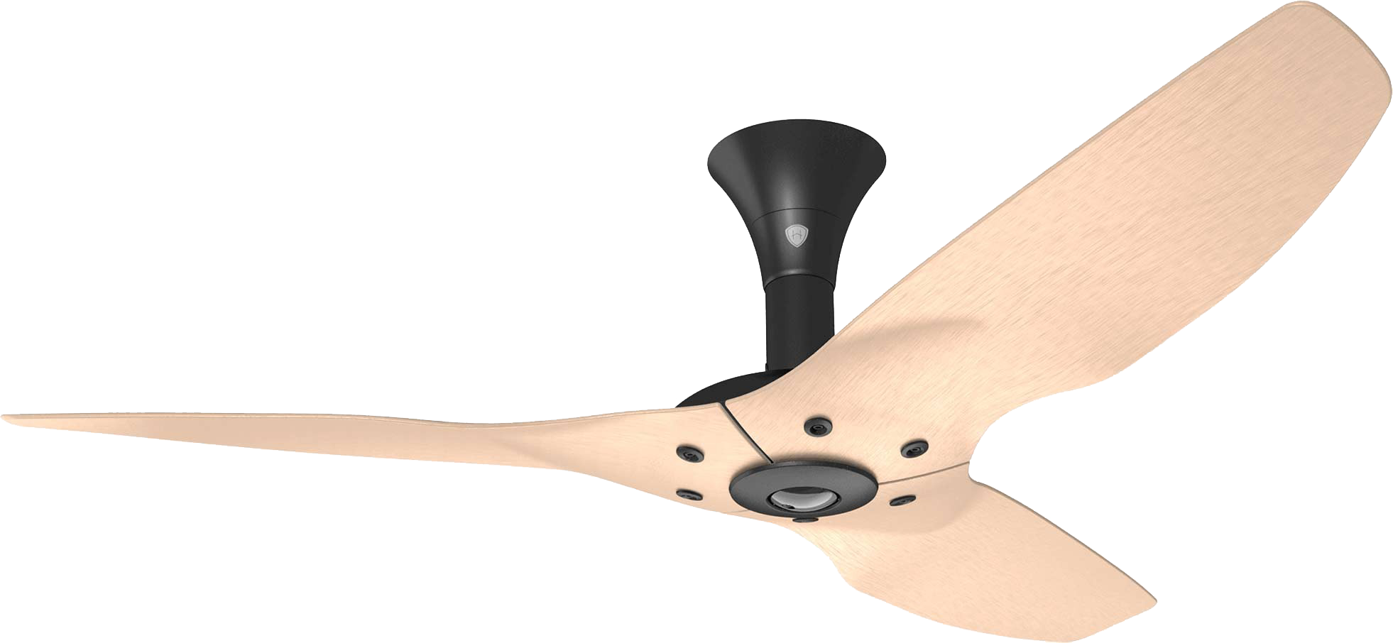 Benefits Of Getting Ceiling Fan Installation In Newmarket - Ceiling Fan ...