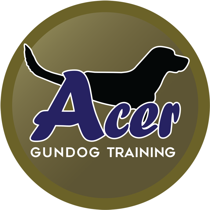 Professional Learning Community Clipart - Large Size Png Image - PikPng