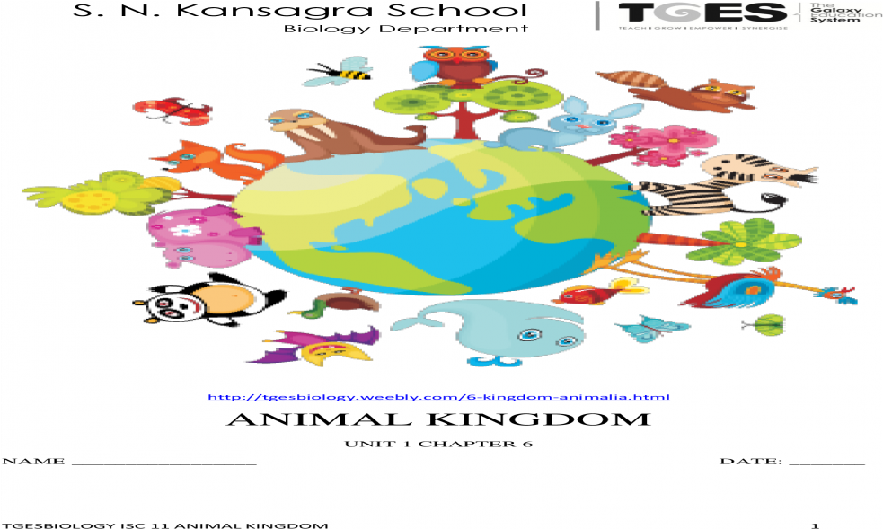 6 Kingdom Animal Kingdom Clipart - Large Size Png Image - PikPng