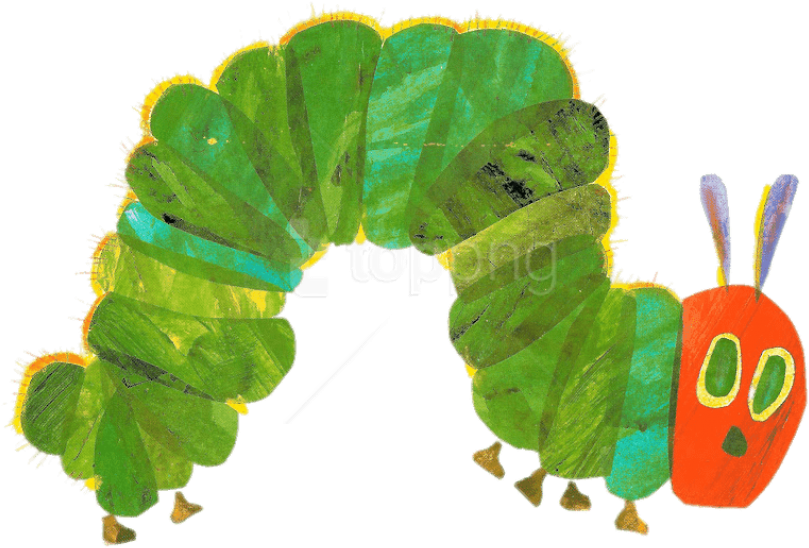 Download The Very Hungry Caterpillar Png Images Background - Very ...