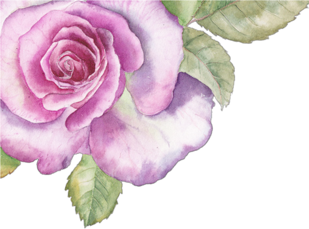 #ftestickers #flowers #roses #border #corner #pink - Pink And Purple ...