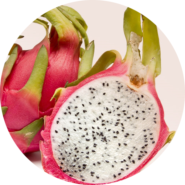 Dragon Fruit Clipart - Large Size Png Image - PikPng