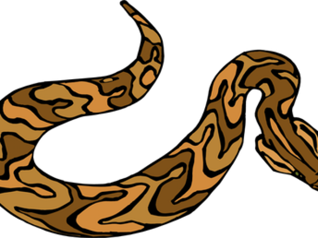Brown Snake Clipart - Png Download - Large Size Png Image - PikPng