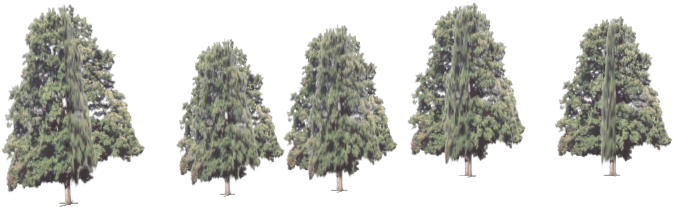 Red Pine Clipart - Large Size Png Image - PikPng