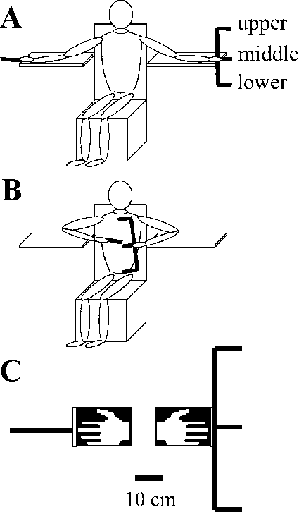 Starting Position - Drawing Clipart - Large Size Png Image - PikPng