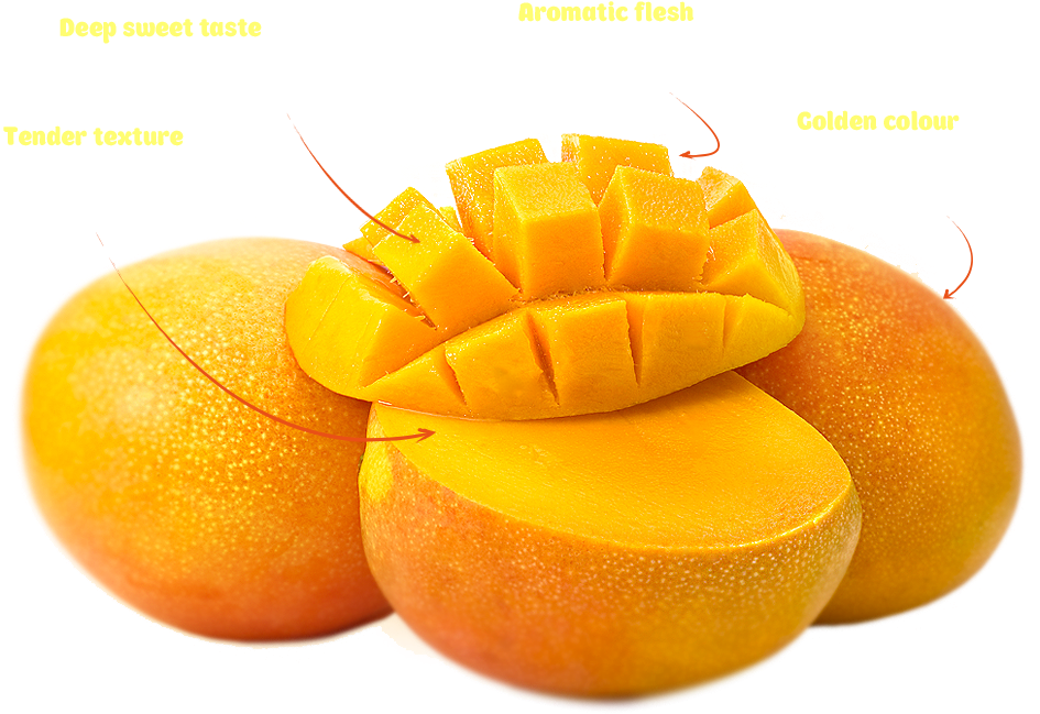 Alphonso Mango Png Clipart - Large Size Png Image - PikPng