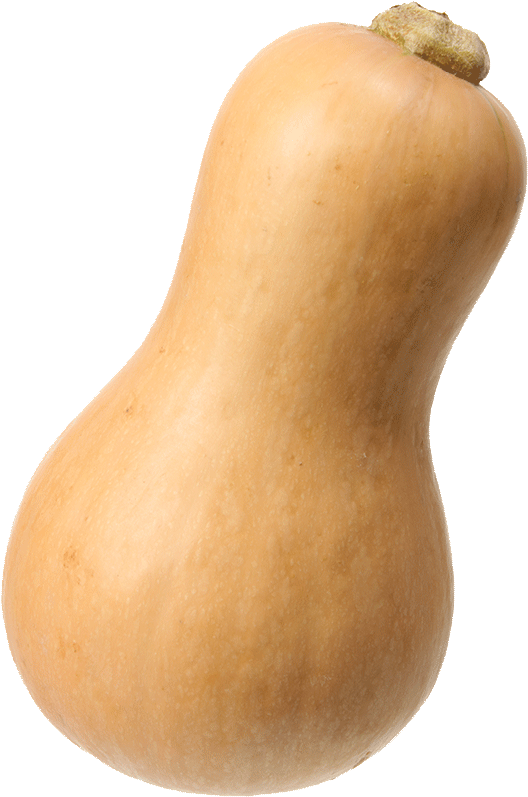Gourd Clipart - Large Size Png Image - PikPng