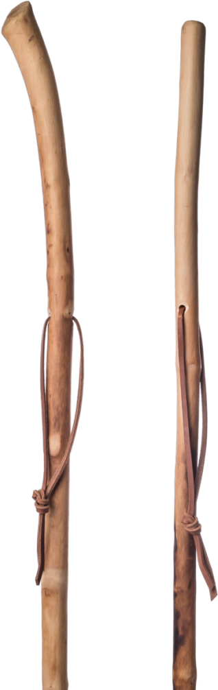 Dogwood Tree Walking Stick 160cm - Dog Wood Walking Sticks Clipart ...