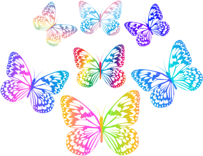 Free Png Download Decorative Multlored Butterflies - Multi Color ...